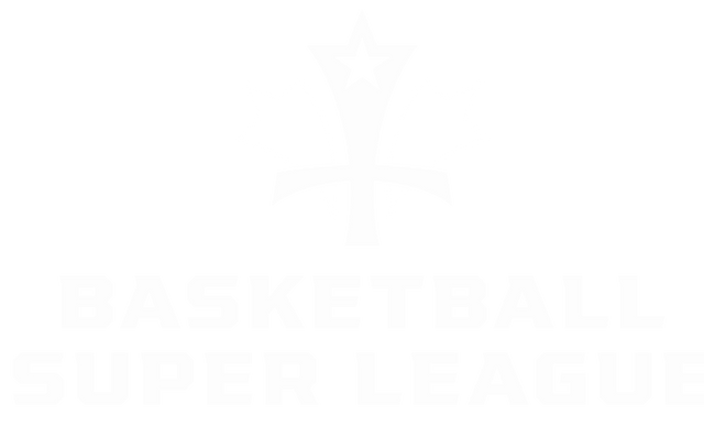 Best Custom, Personalized Basketballs, Volleyballs and Sporting Goods ...