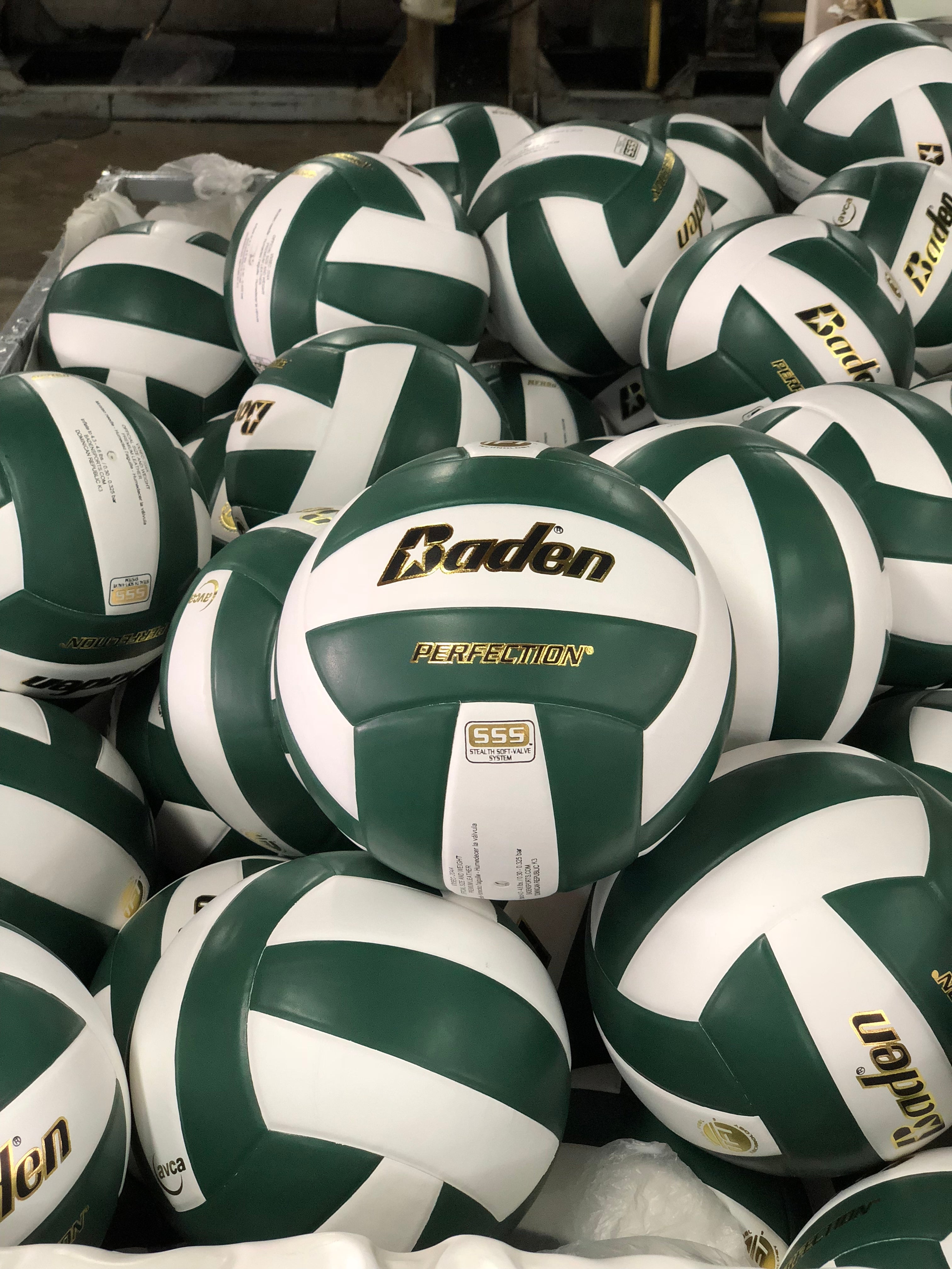 Perfection Leather Volleyball NFHS Stamped – Baden Sports