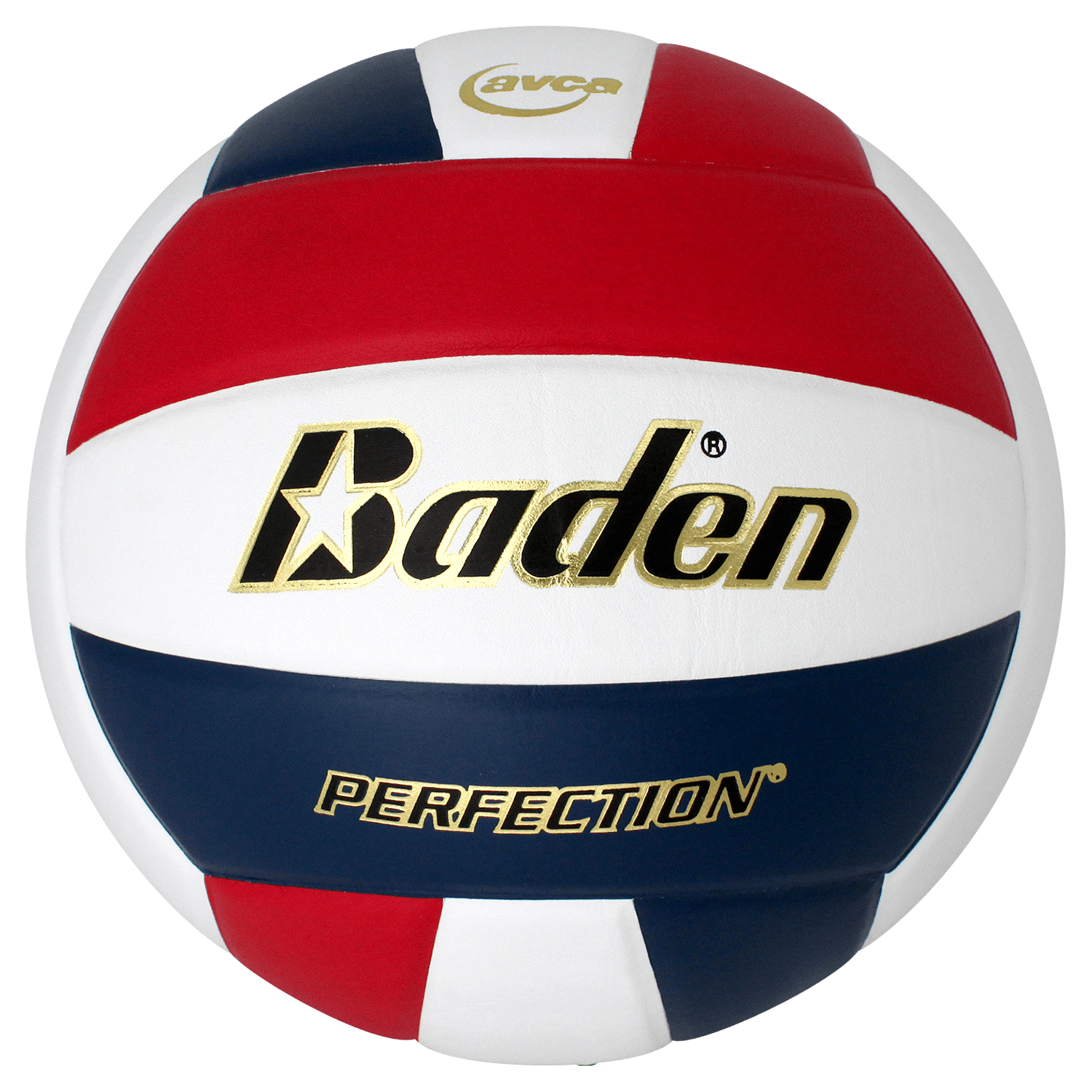 Perfection Leather Volleyball – Baden Sports