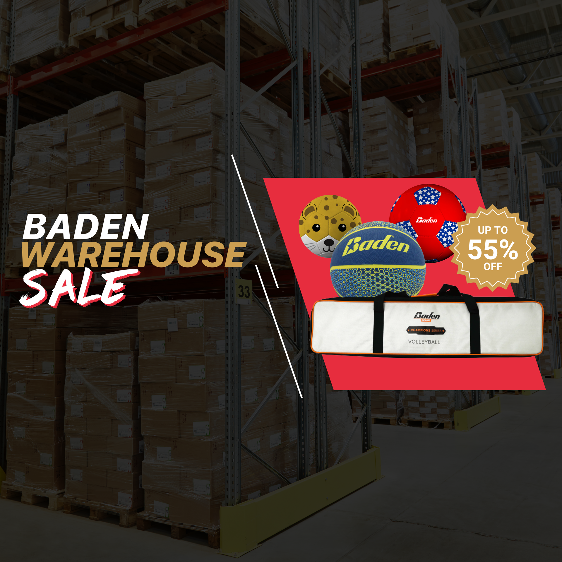 Best Custom, Personalized Basketballs, Volleyballs and Sporting Goods ...