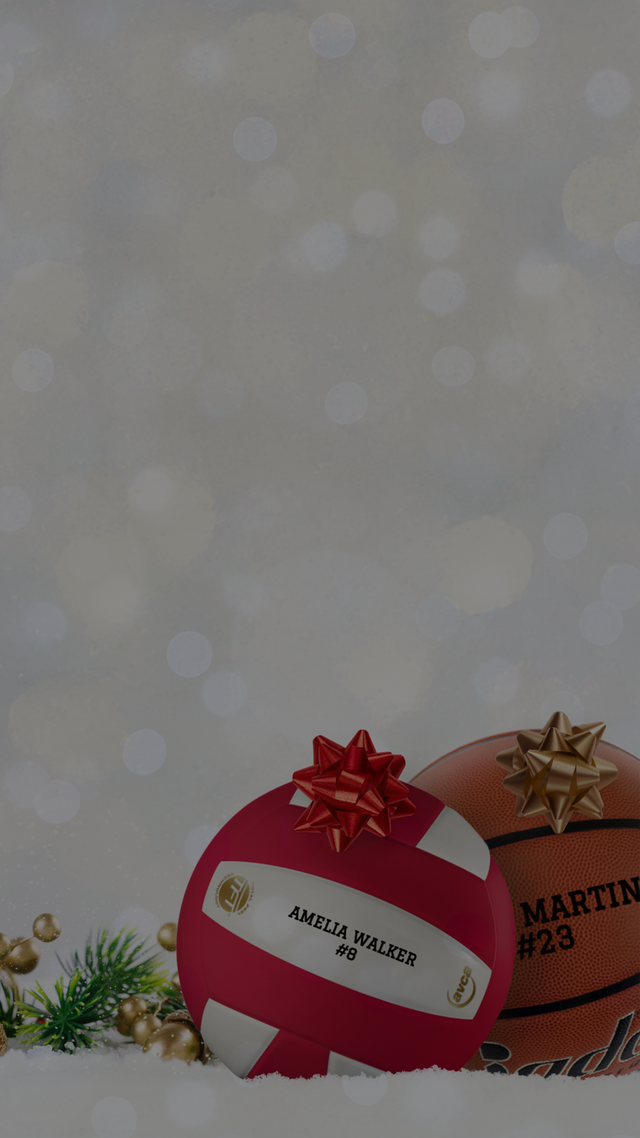 Best Custom, Personalized Basketballs, Volleyballs and Sporting Goods ...