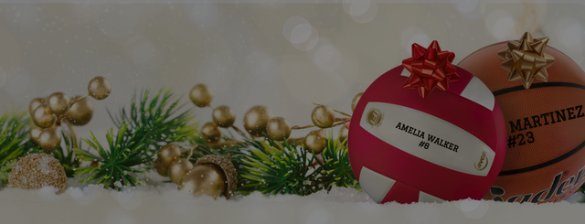 Best Custom, Personalized Basketballs, Volleyballs and Sporting Goods ...